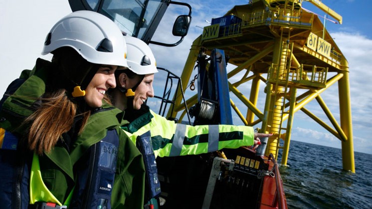 Skills for Offshore Wind Portal site (SkillOW) | HIE